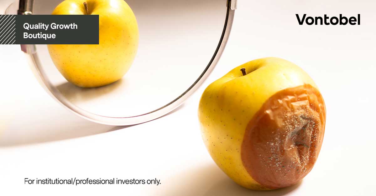 Inflation’s illusion on carbon intensity – don’t be deceived | Vontobel ...