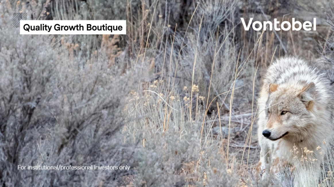 A wolf in sheep’s clothing: equity risk in a changing market ...