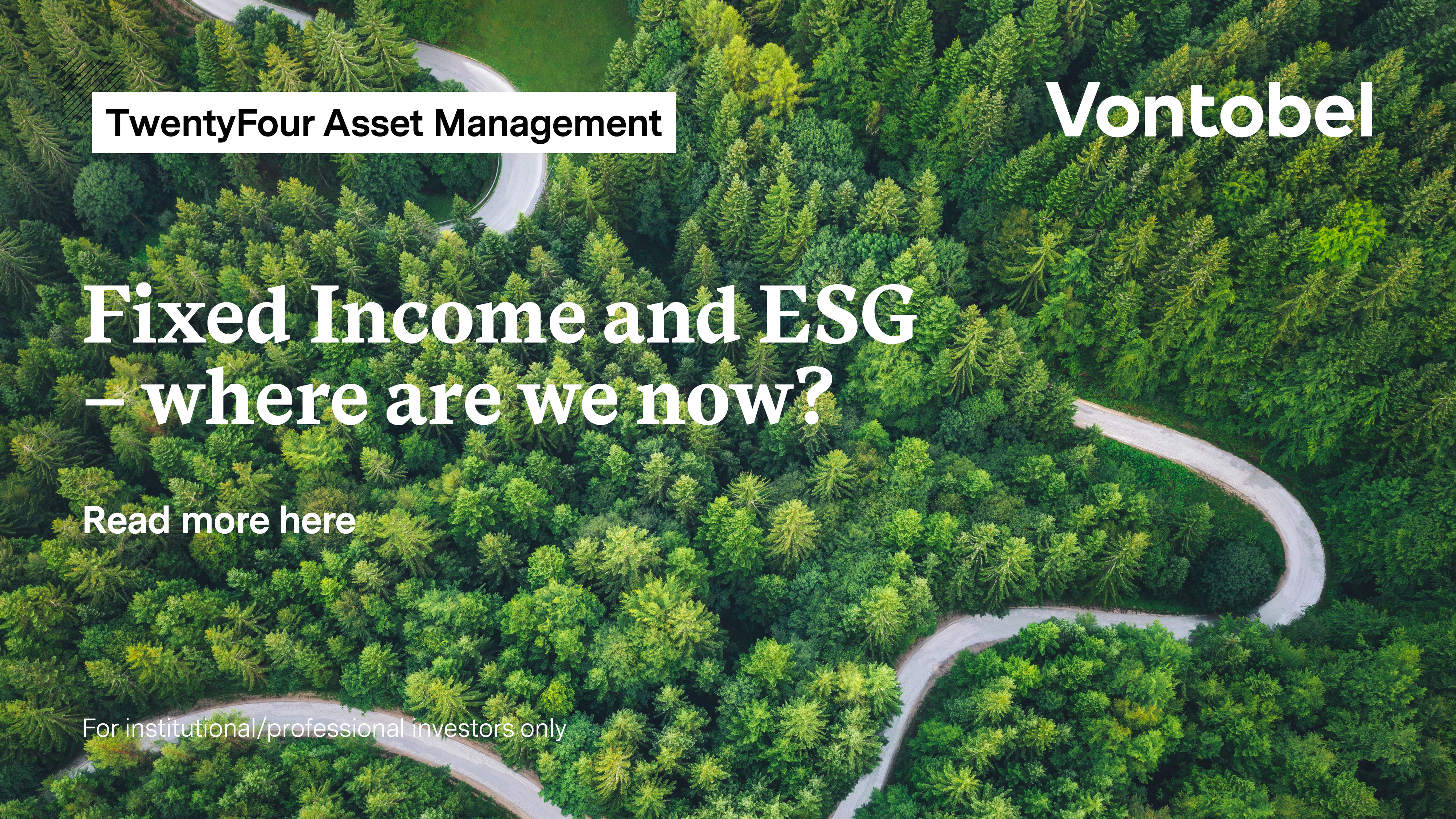 Fixed Income and ESG - where are we now? | Vontobel Asset Management