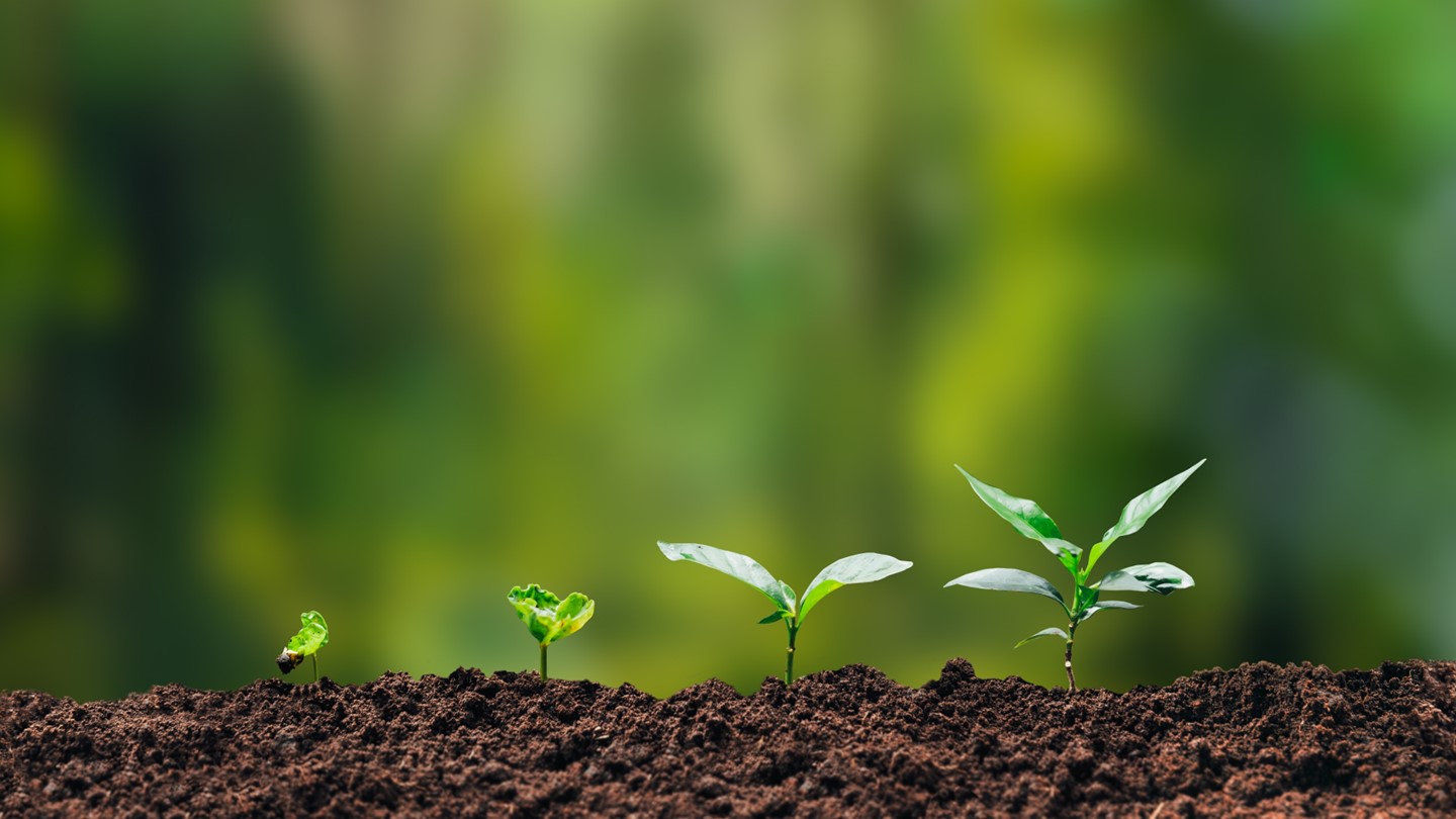 The growing importance of AT1 deal selection | Vontobel Asset Management