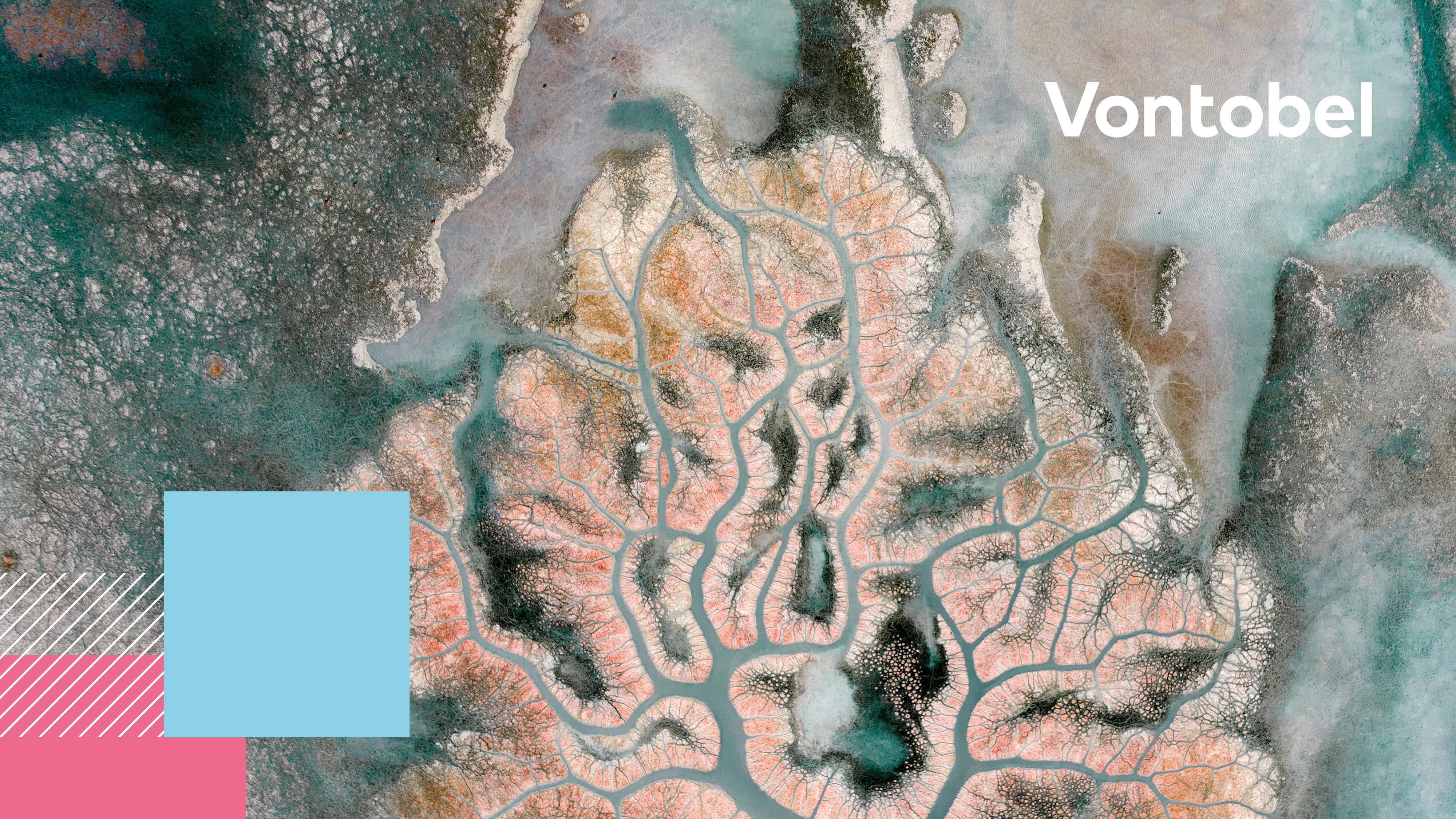 Replay: The new multi-plural world — Macro divergence meets yield ...