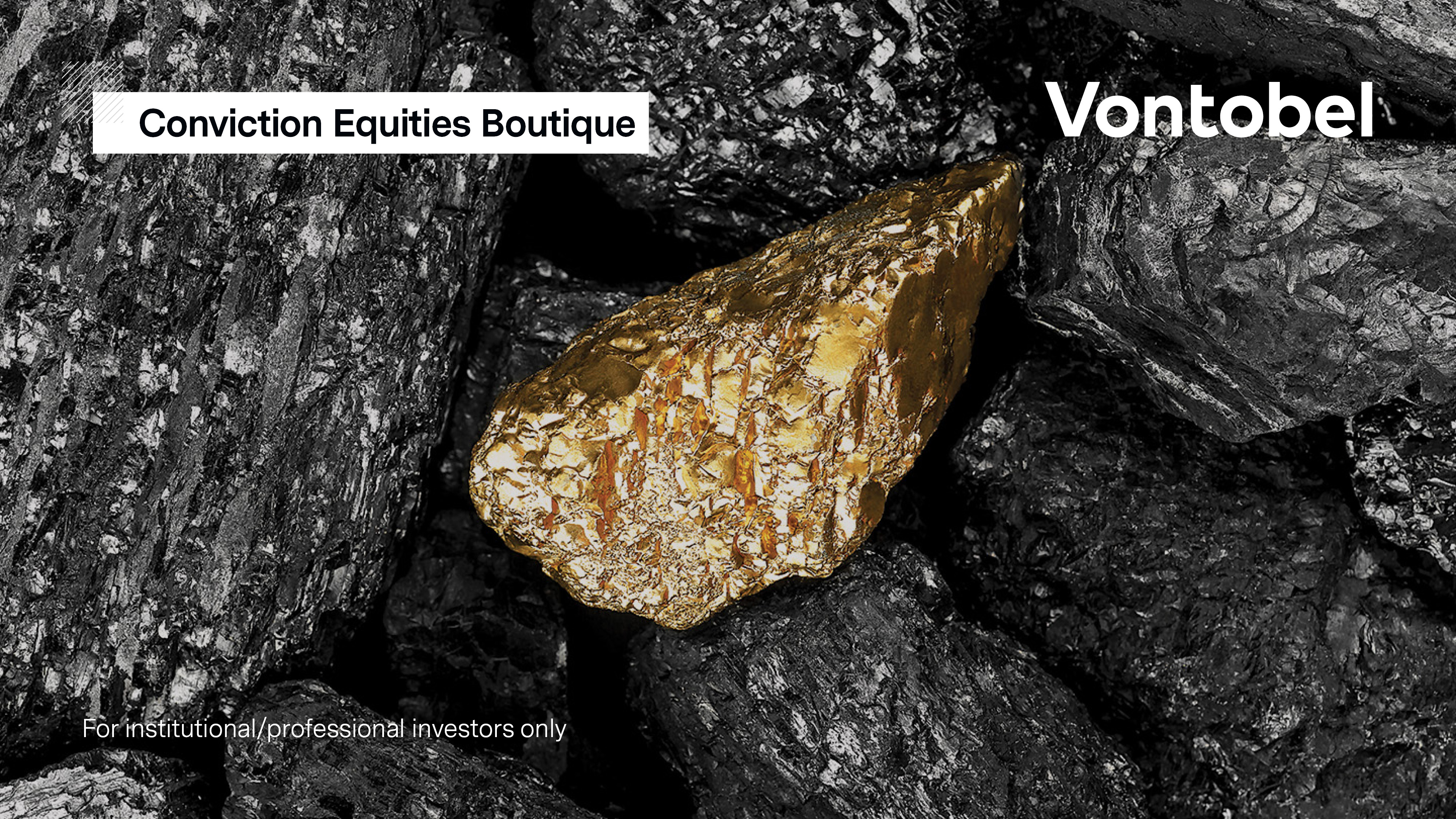 Emerging market equities: time to shine again | Vontobel Asset Management