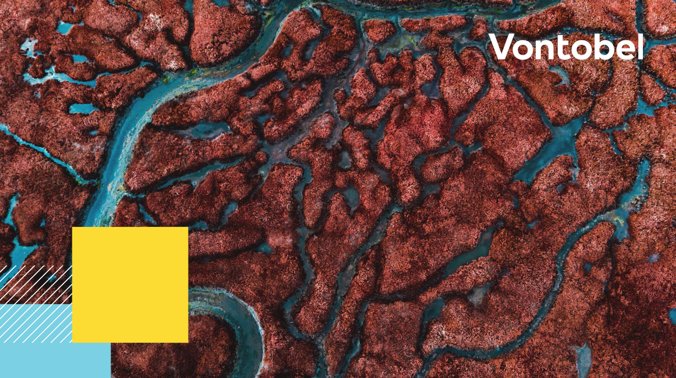 Replay: Charting the Path for Fixed Income in 2026 | Vontobel Asset ...